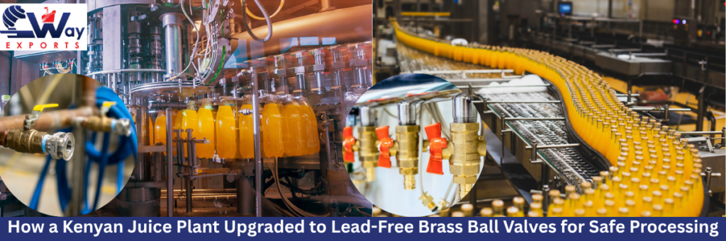 Food Industry Case: Lead-Free Brass Ball Valves - C-Way